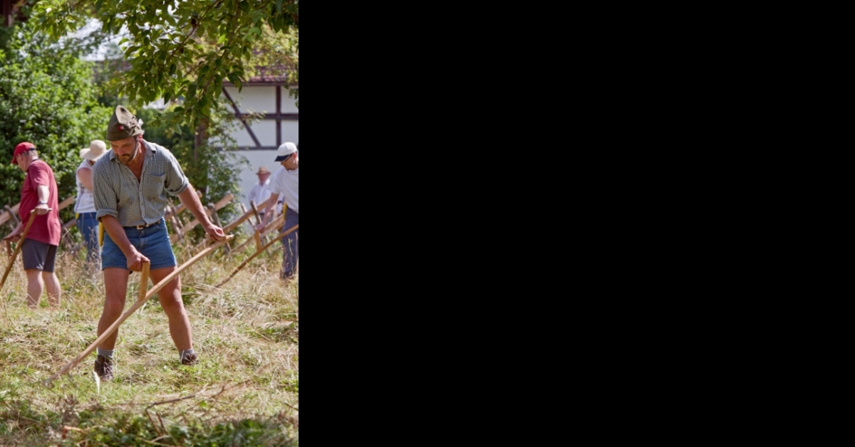 Kurs: mähen mit der Sense ABGESAGT - Schwäbisches Freilichtmuseum ...